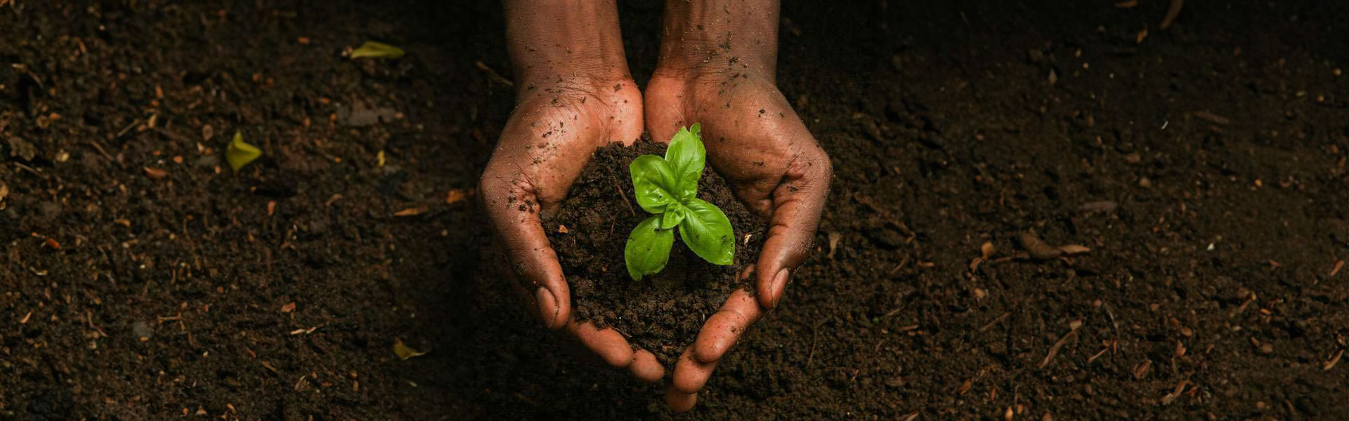 Partner-Financially-banner | World Mission Centre